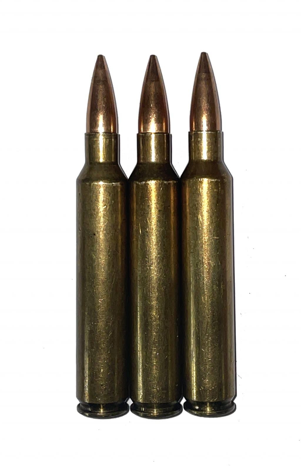 300 Remington Ultra Magnum (RUM) - Snap Caps Dummy Rounds